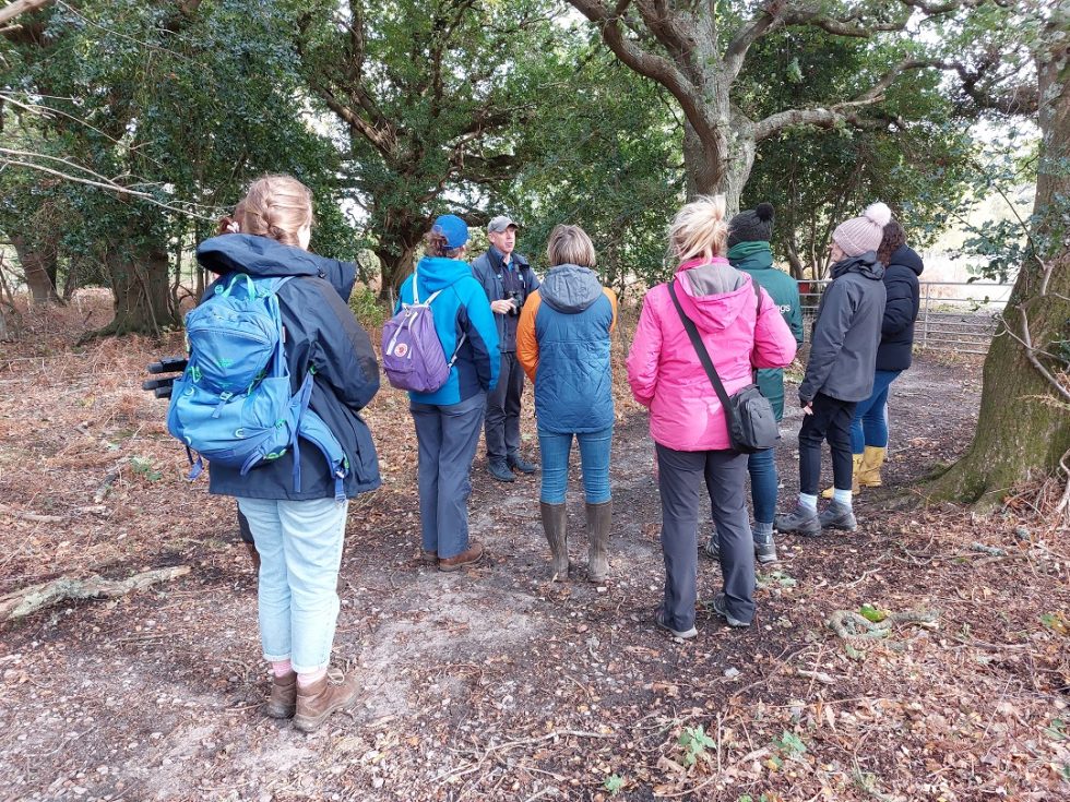 Discover Arne - guided walk - Urban Heaths Partnership